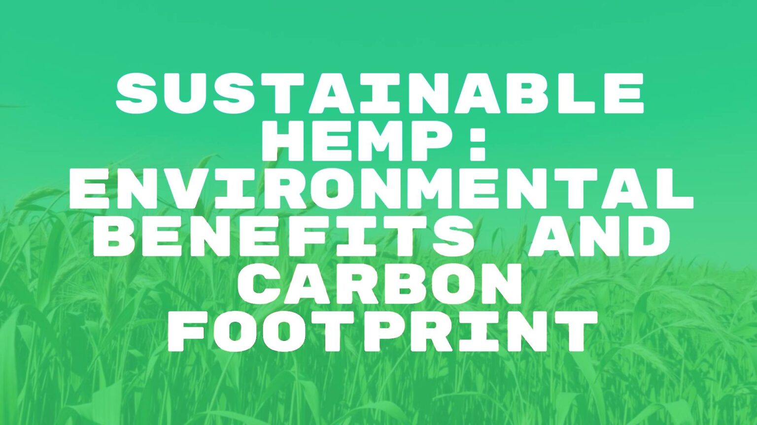 Sustainable Hemp: Environmental Benefits and Carbon Footprint ...
